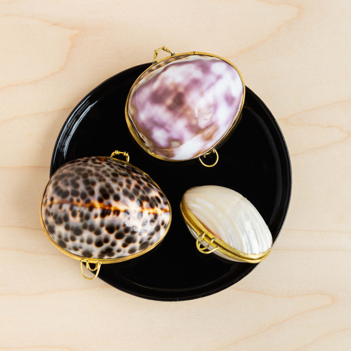 Earth Tu Face: Seashell Lip Balm – Mantel