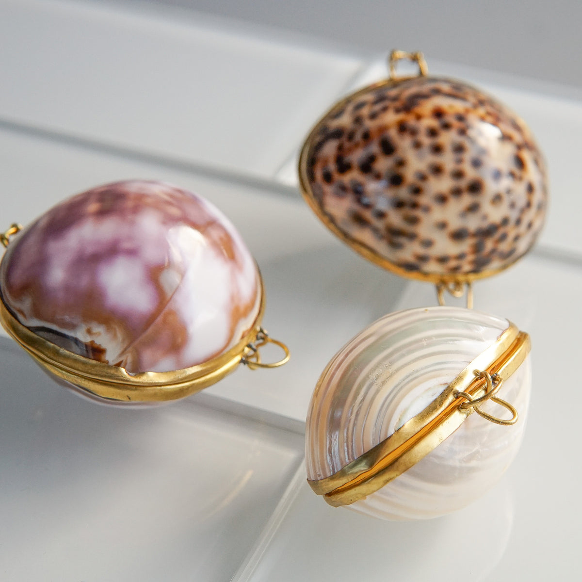 Earth Tu Face: Seashell Lip Balm – Mantel